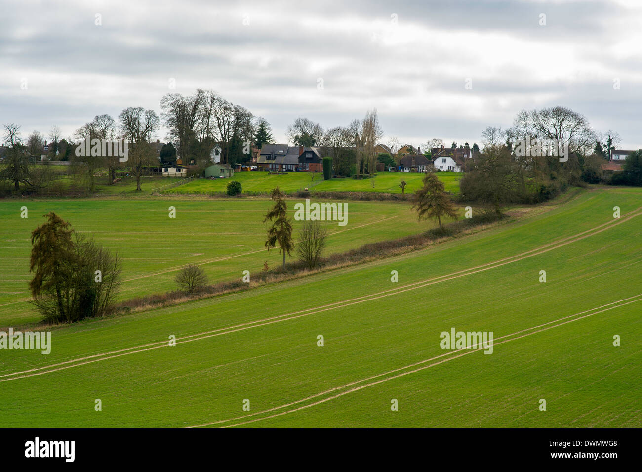 Arable fields near Kensworth, Bedfordshire, England, UK Stock Photo - Alamy