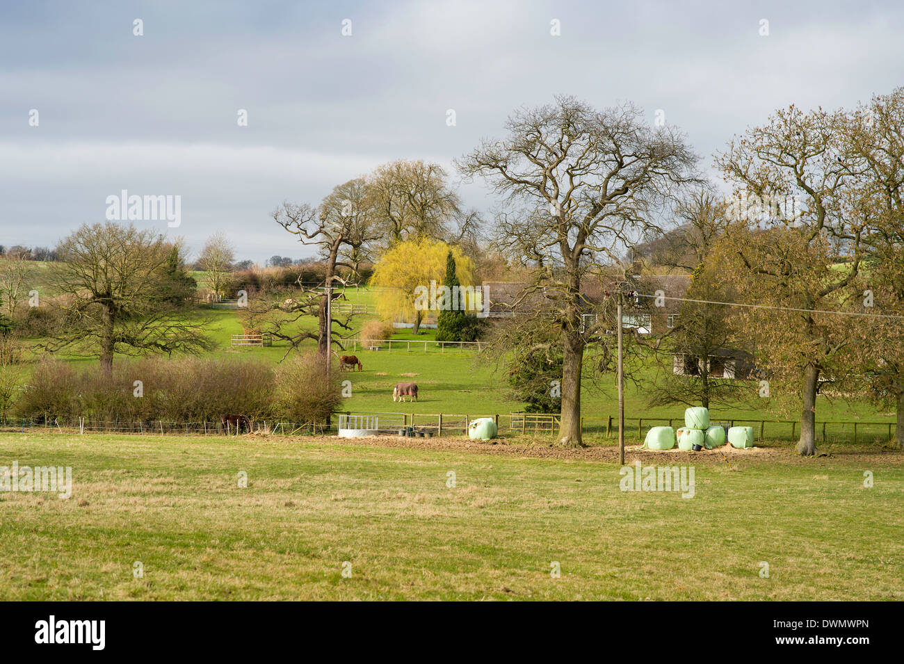Arable fields near Lynch Hill, Kensworth, Bedfordshire, England, UK ...
