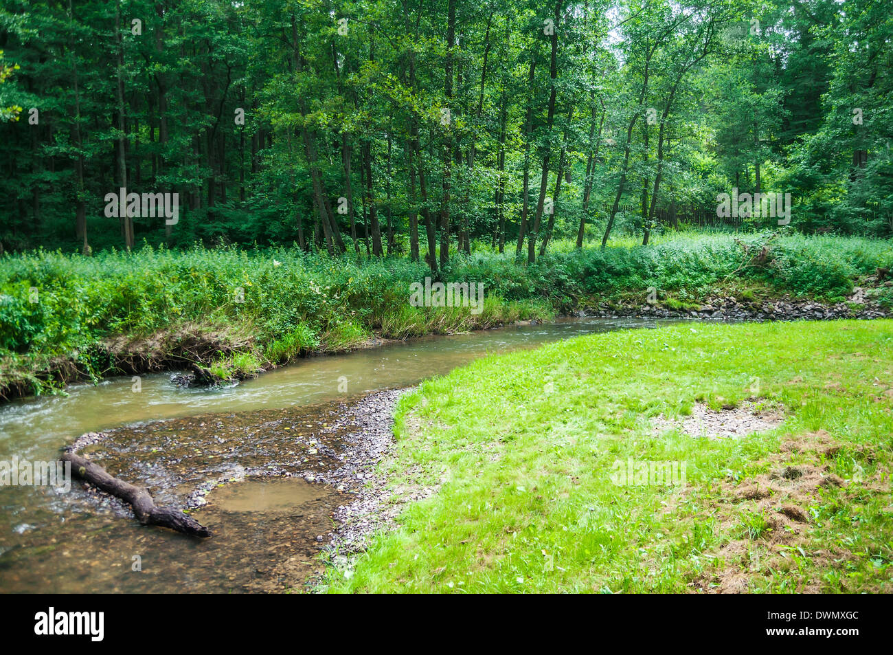 Flows to leaf river hi-res stock photography and images - Alamy