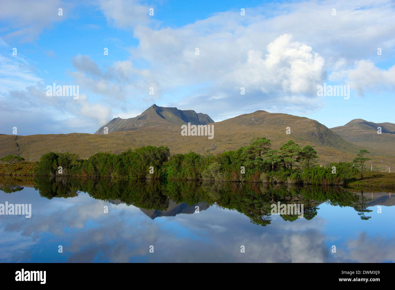 Cul hi-res stock photography and images - Alamy