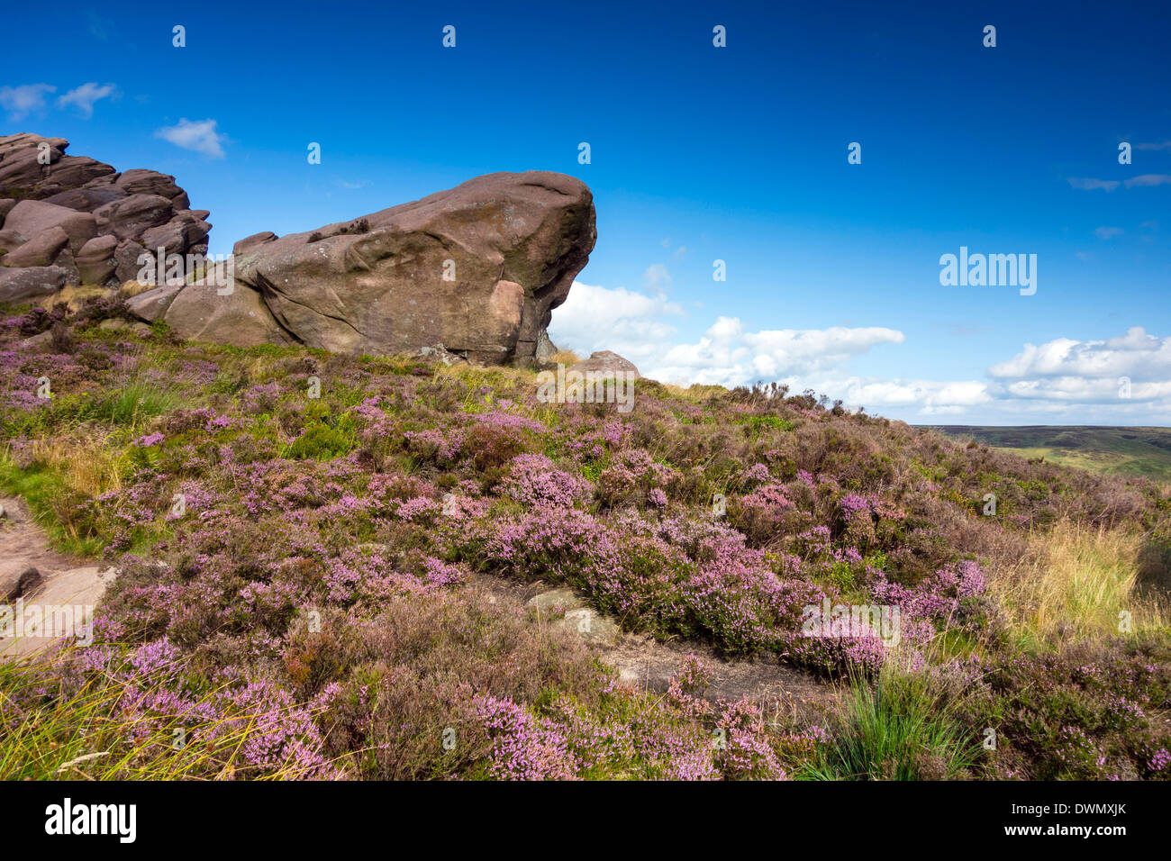 Gritstone cliffs, Ramshaw Rocks, Staffordshire, Peak District Stock ...