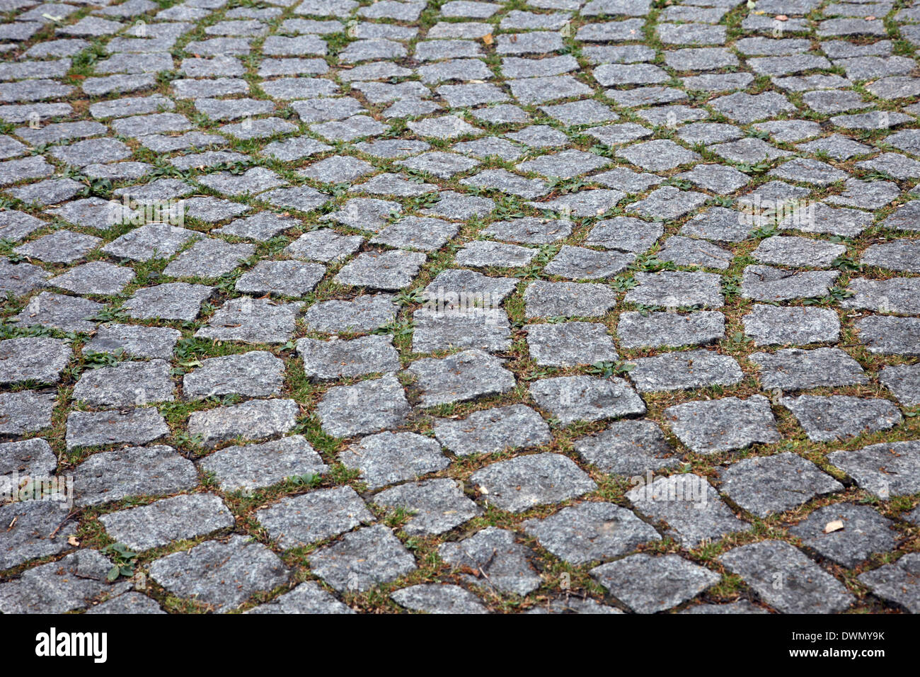 Cobblestone pave hi-res stock photography and images - Alamy