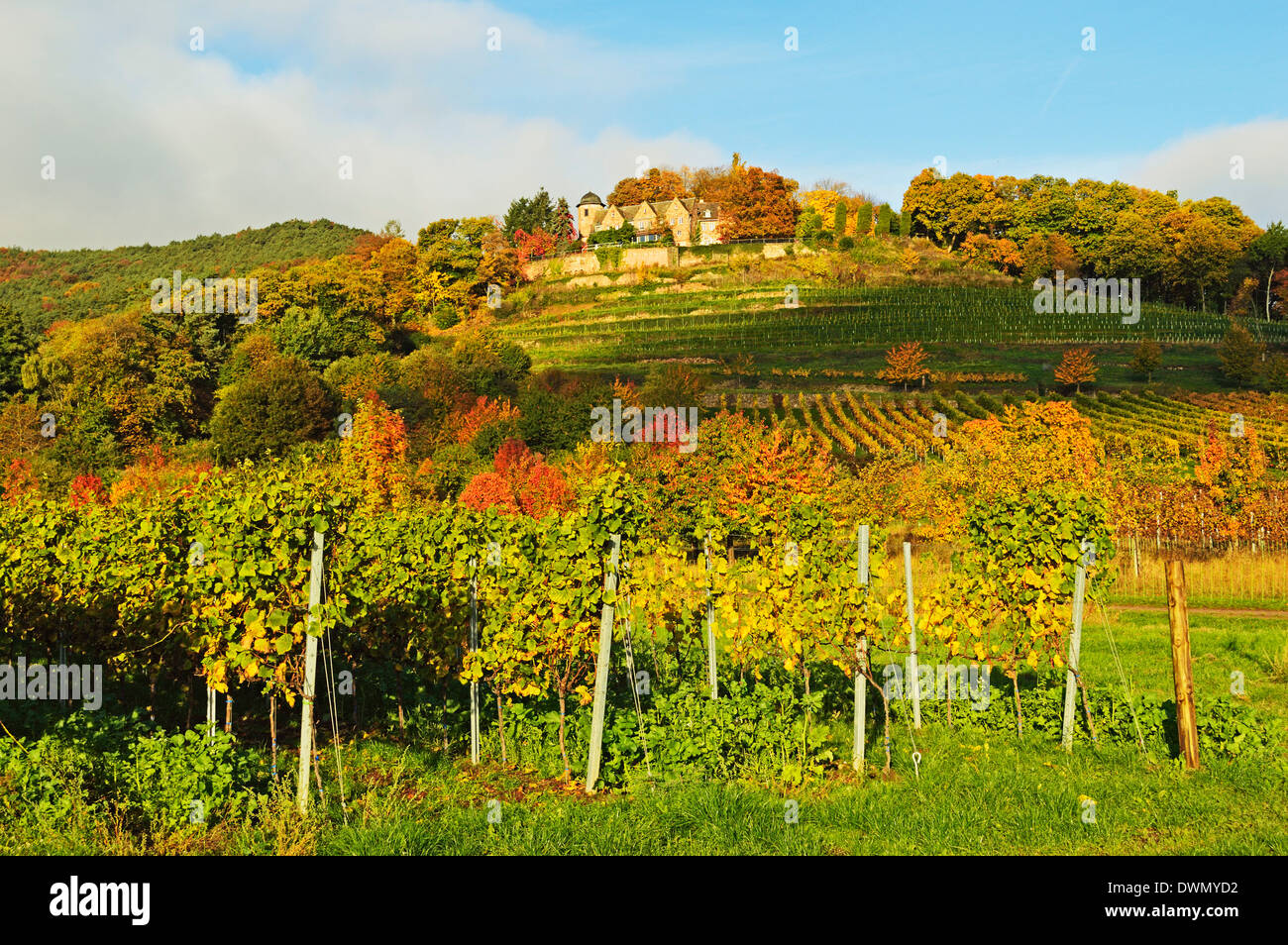 Rhineland landscape with castle hi-res stock photography and images - Alamy
