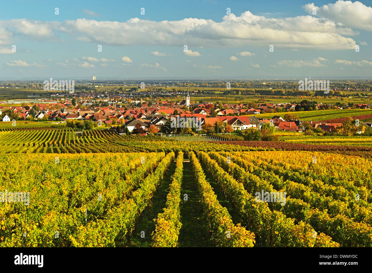 Vineyard landscape and Maikammer village, German Wine Route, Rhineland ...