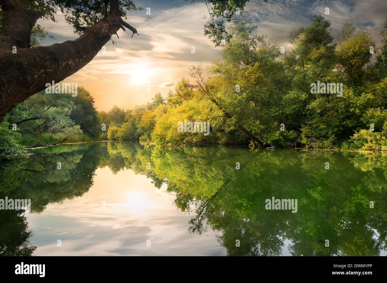 Sun behind the trees by the river Stock Photo - Alamy