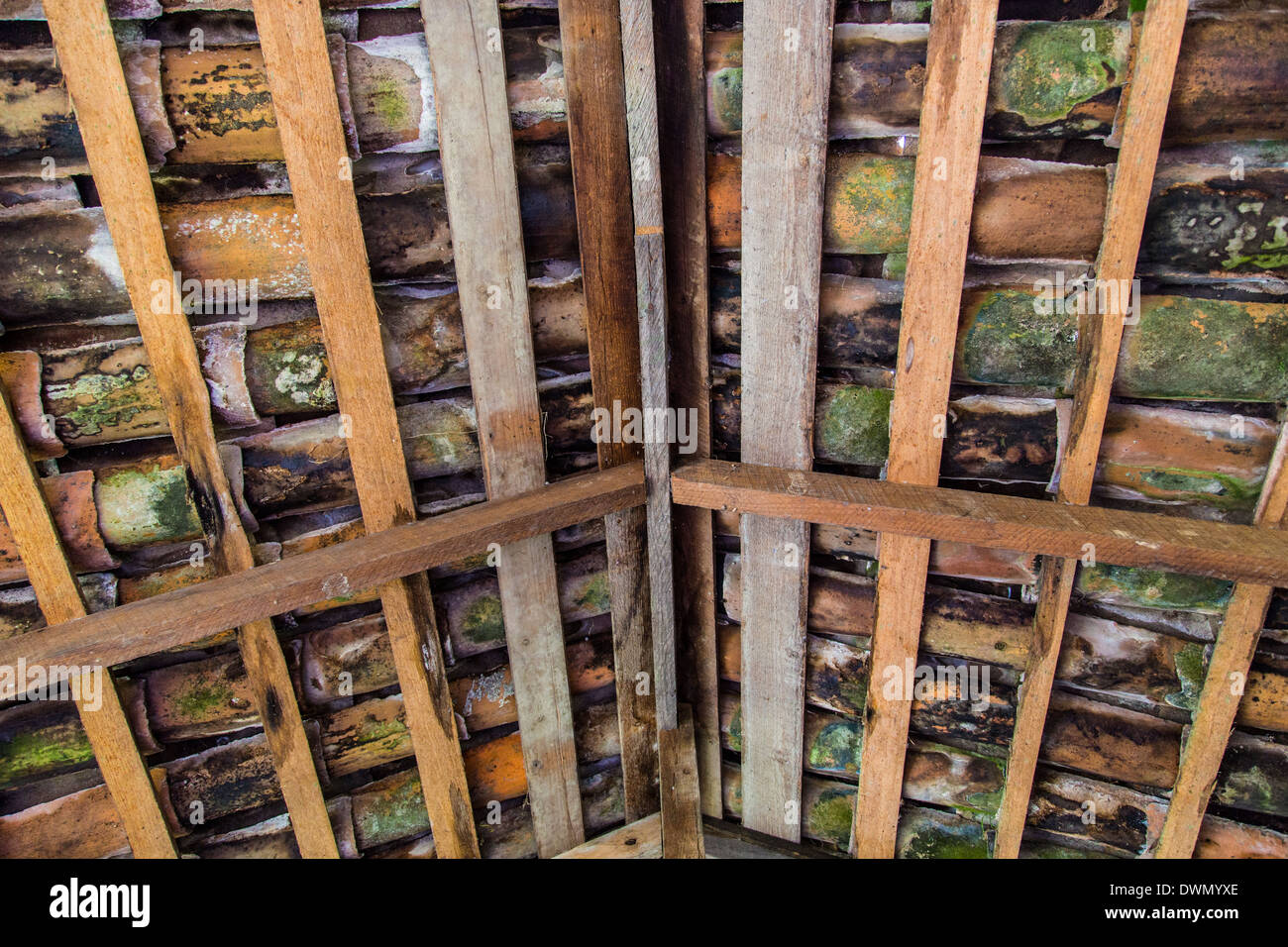 Mosaic roof tile hi-res stock photography and images - Alamy
