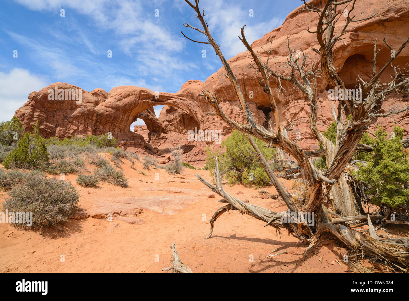 Double Arch, Windows Section, Arches National Park, Utah, United States ...