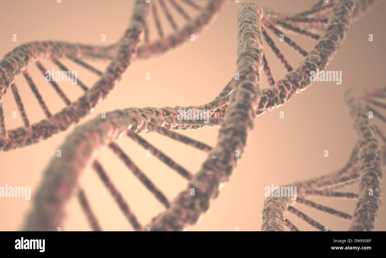 Long structure of the DNA double helix in depth of view Stock Photo - Alamy
