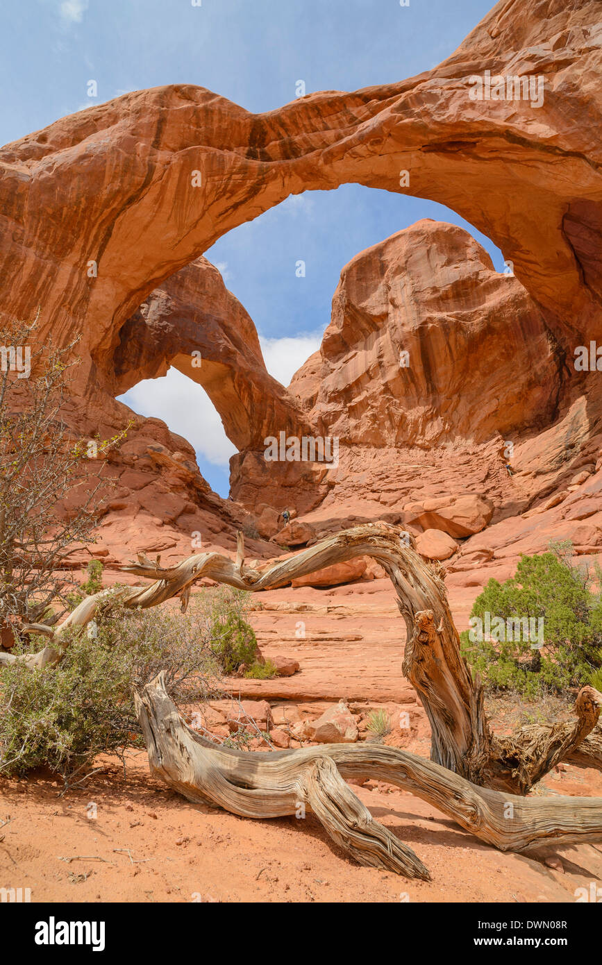 Double Arch, Windows Section, Arches National Park, Utah, United States ...