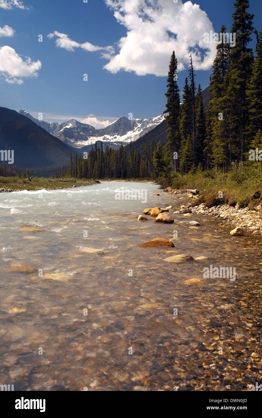 Numa creek hi-res stock photography and images - Alamy