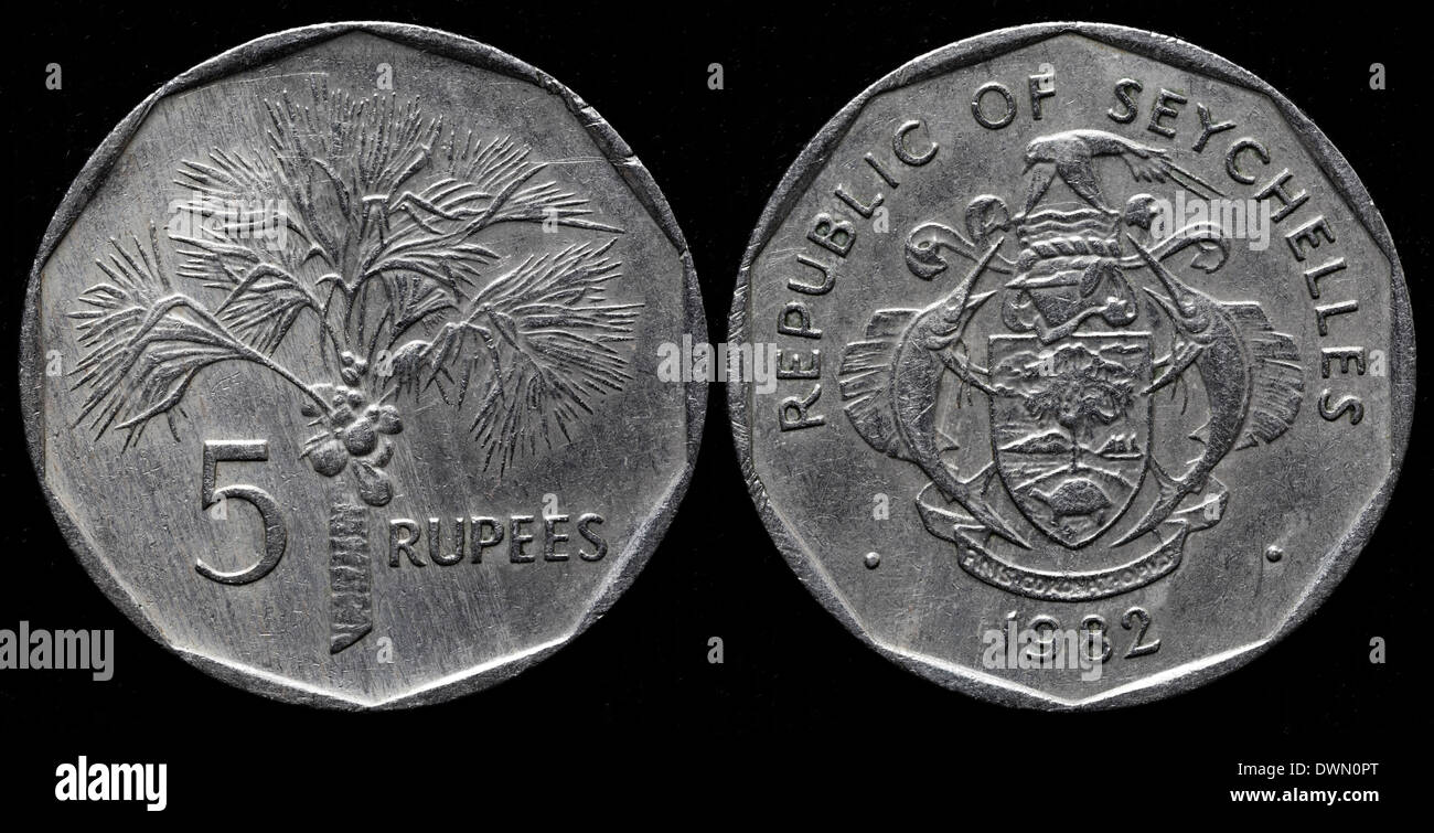 Rupee Money Tree Rupee Tree Stock Photos, Images And Backgrounds For