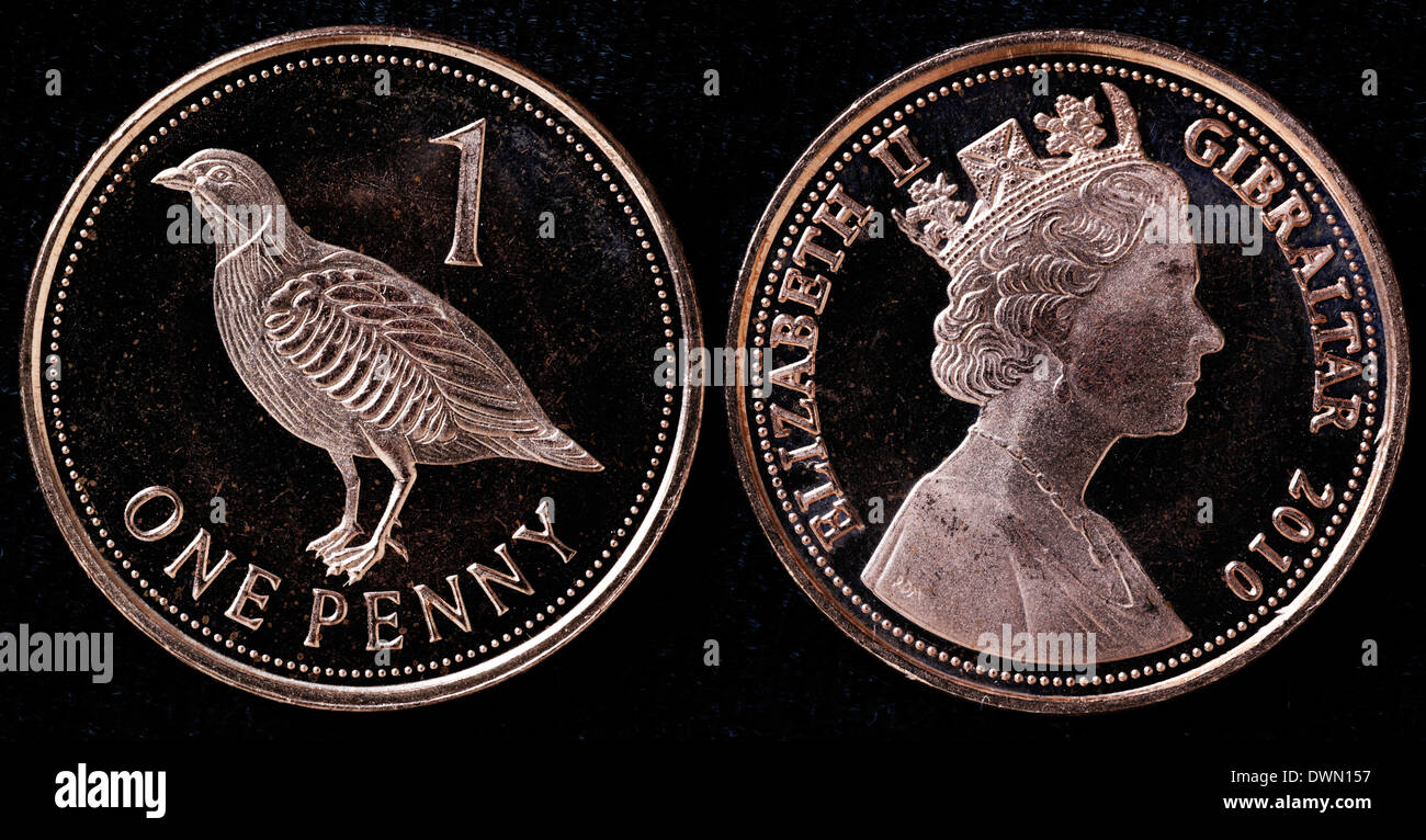 1 penny coin, Barbary partridge, Gibraltar, 2010 Stock Photo - Alamy