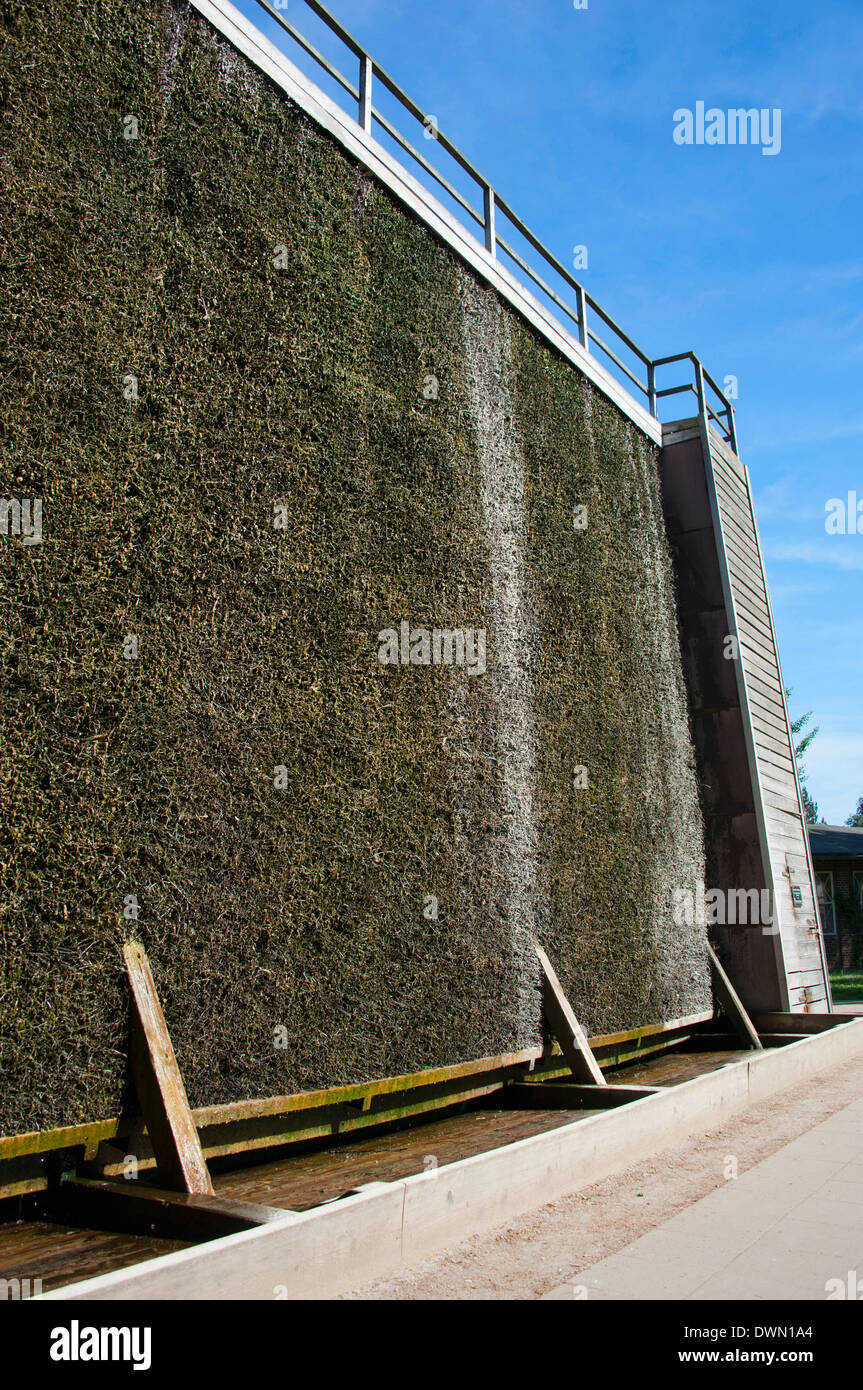 Graduation works, Luneburg Stock Photo - Alamy