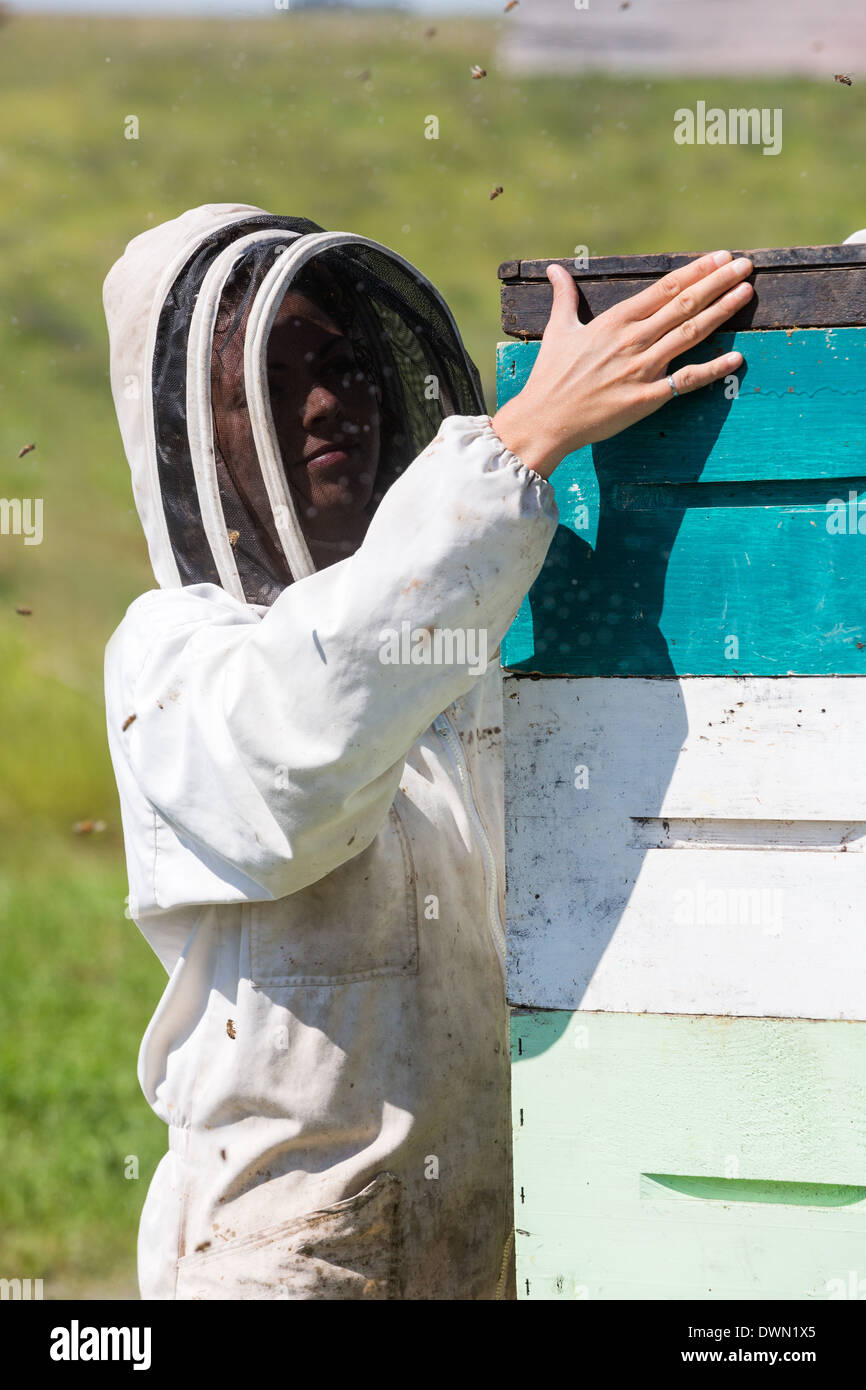 Female Beekeeper Working At Apiary Stock Photo - Alamy
