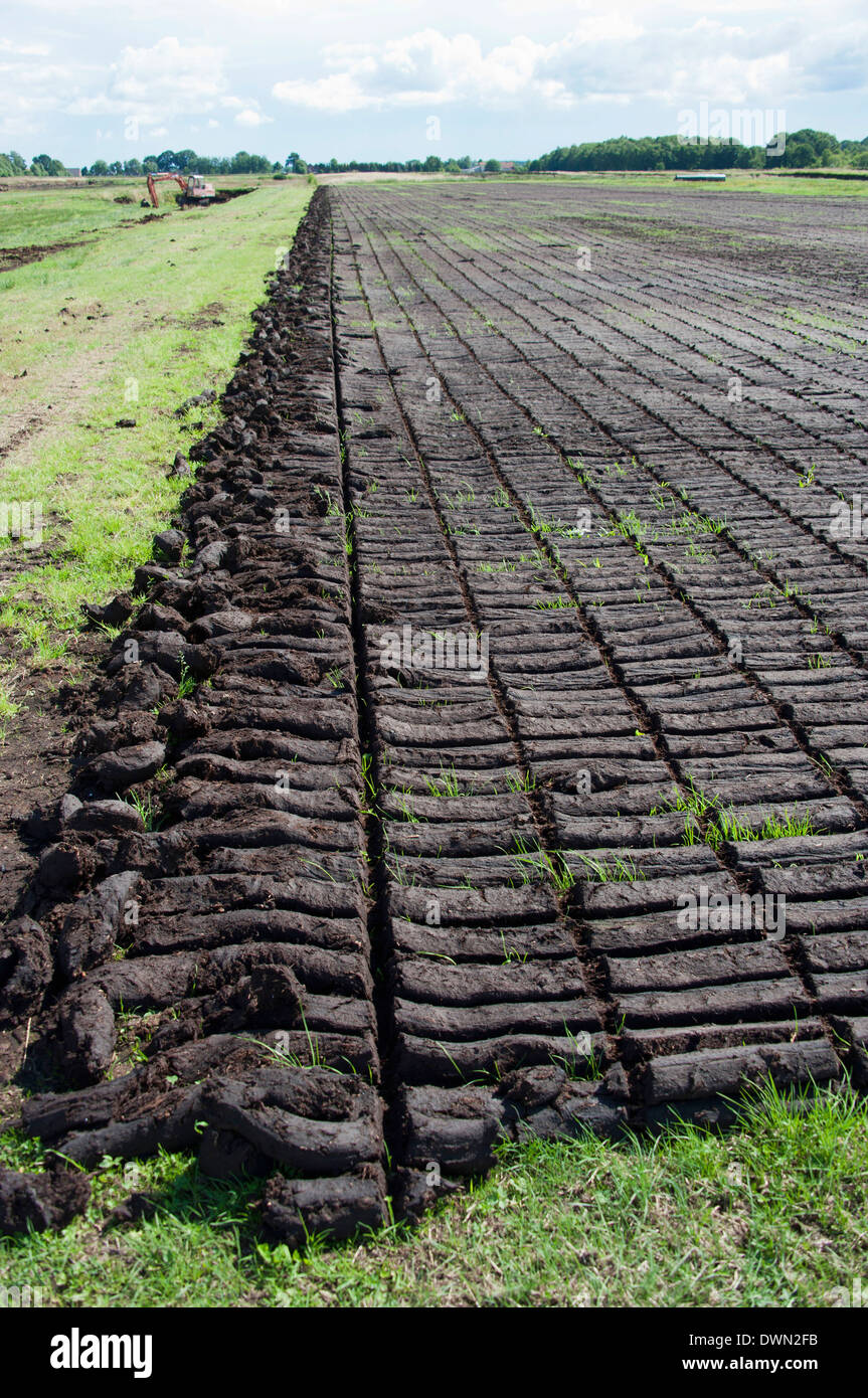 Peat cutting, Wiesmoor Stock Photo - Alamy