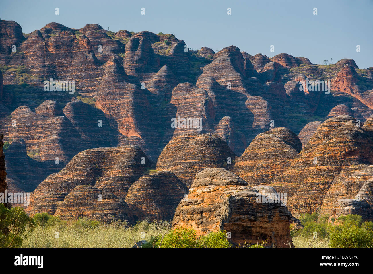 The beehive-like mounds in the Purnululu National Park, UNESCO Site ...