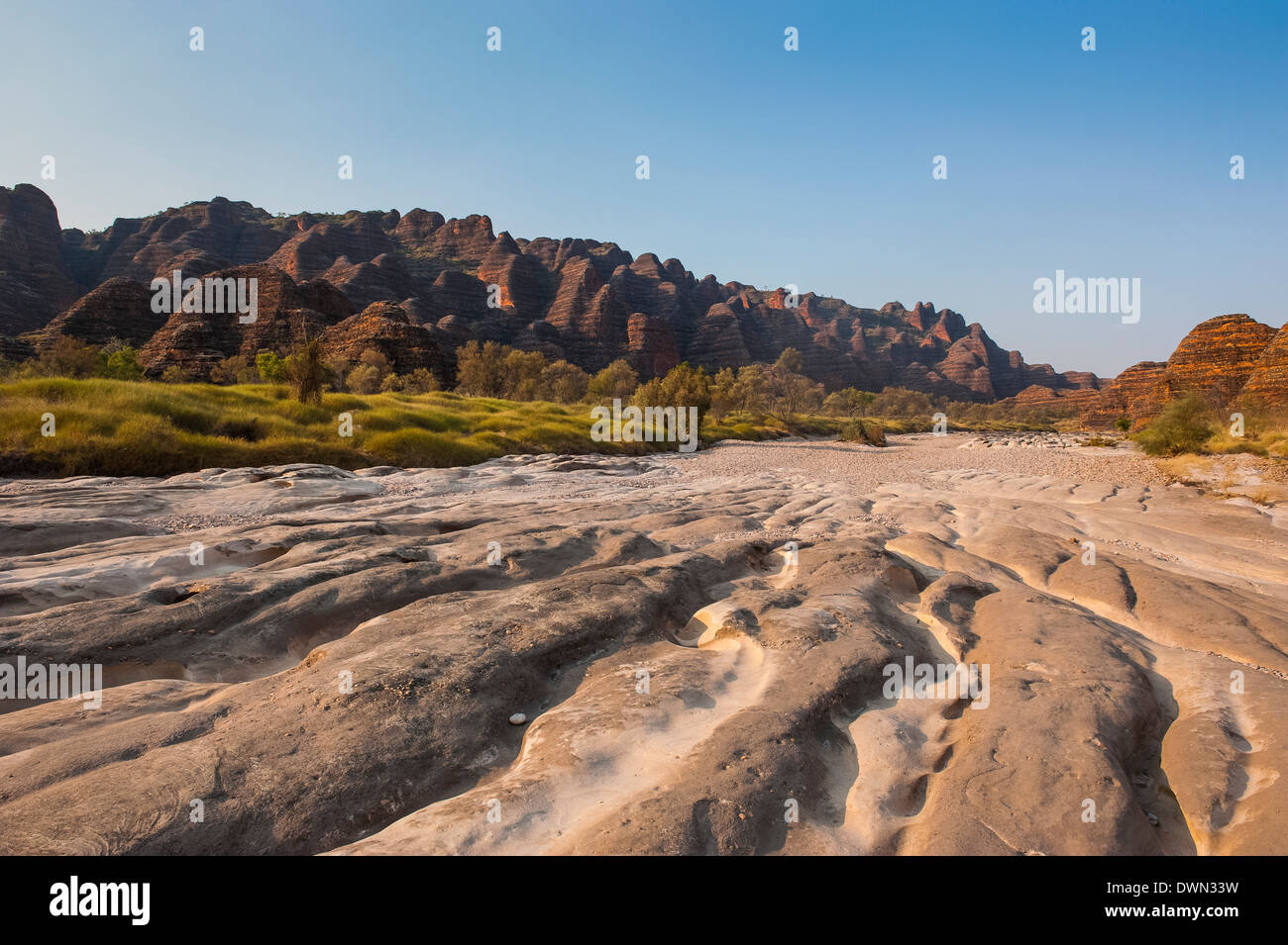 Beehive in nature hi-res stock photography and images - Alamy