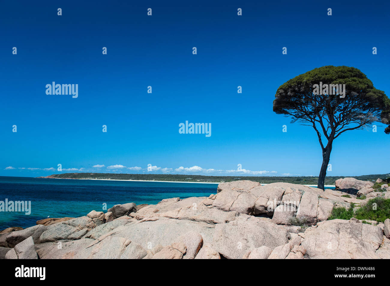 Shelley western australia hi-res stock photography and images - Alamy