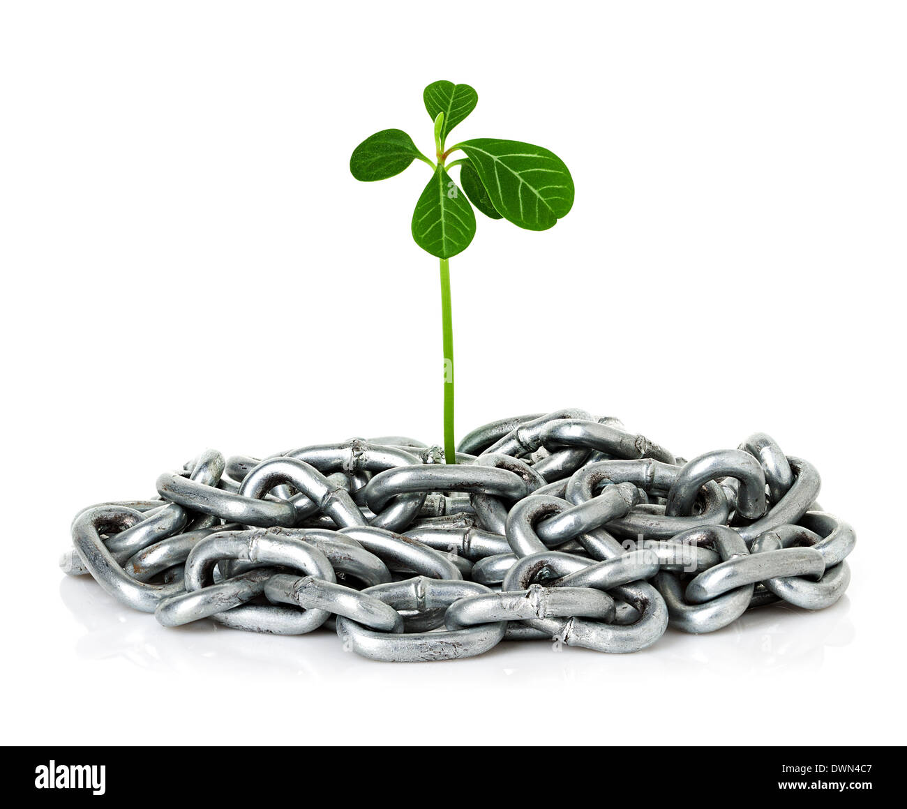 Chain Retention High Resolution Stock Photography and Images - Alamy