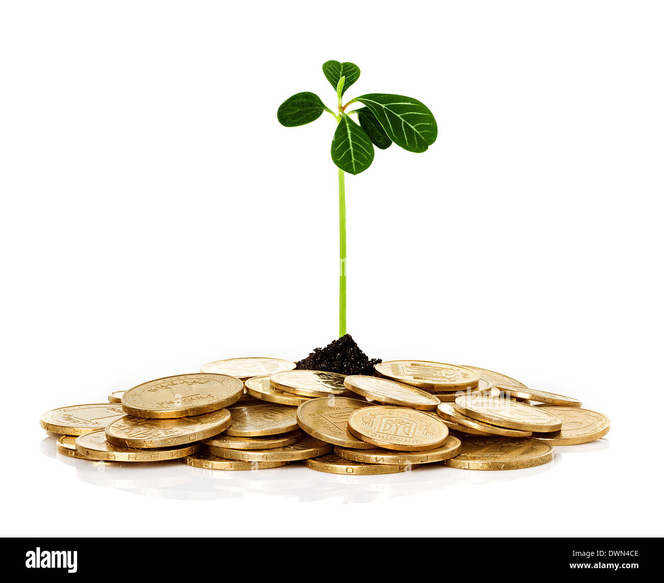 sprout plant sprouting from coins, new life Stock Photo - Alamy