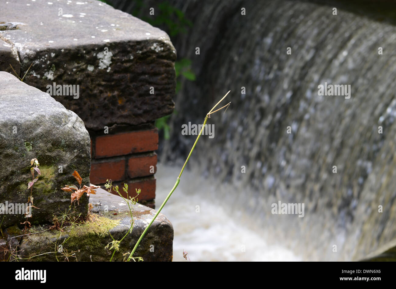 Waterfall on the Duntocher Burn, Dalmuir, Clydebank Stock Photo - Alamy