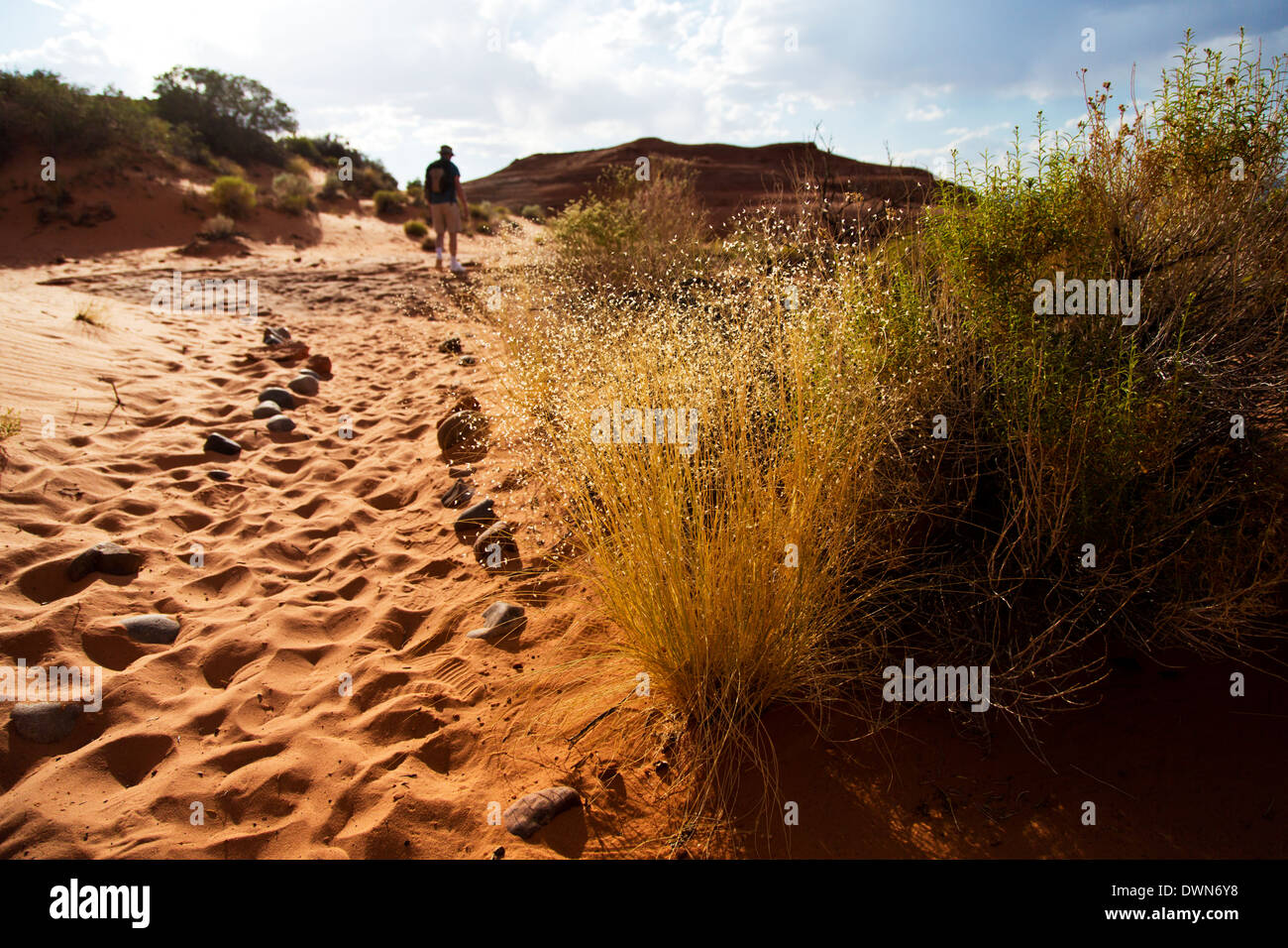 A man walking away on a sandy path in Arizona Stock Photo - Alamy