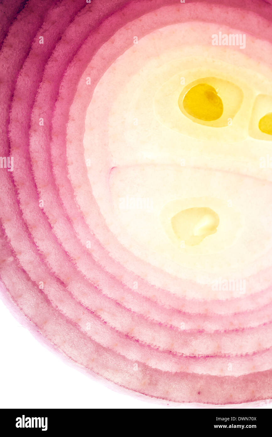 Cross section onion hi-res stock photography and images - Alamy