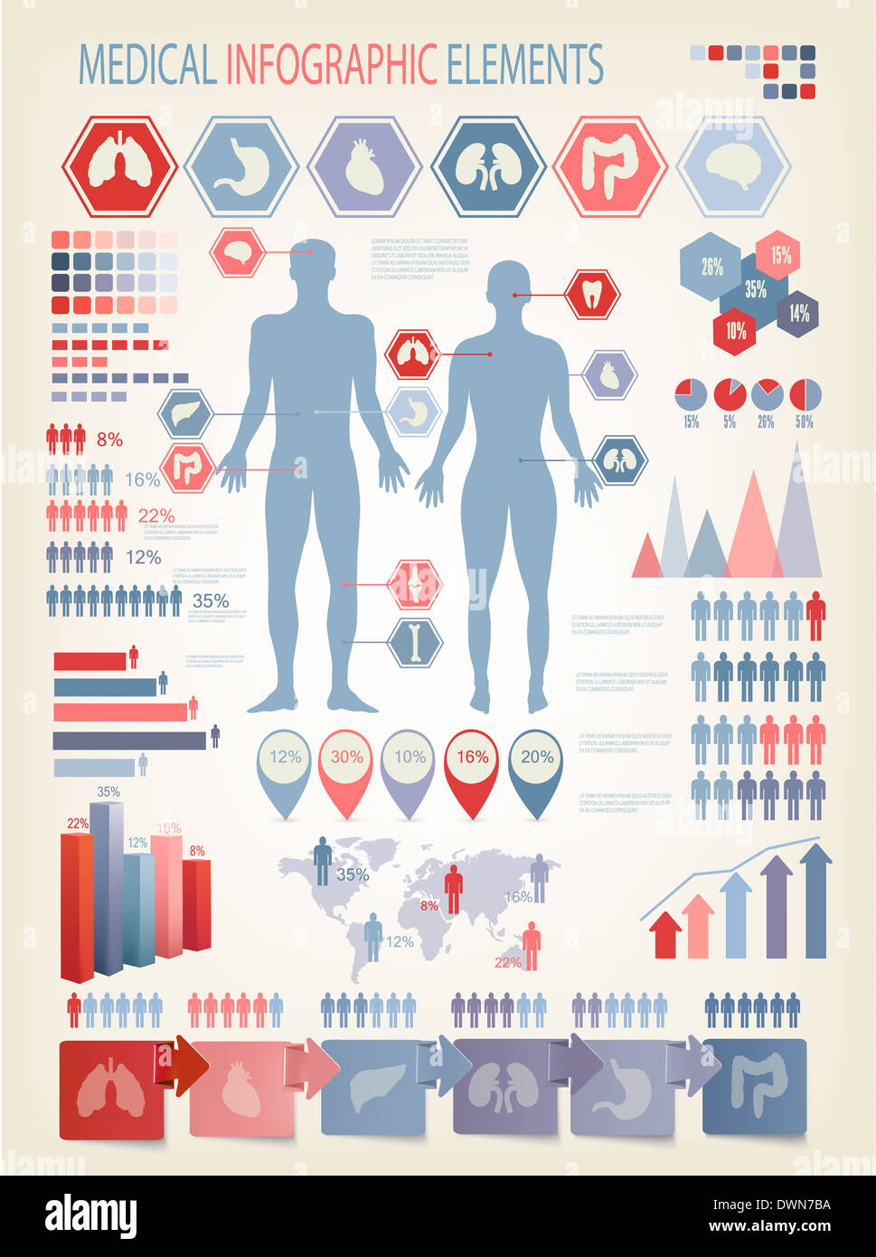 Medical infographics elements. Human body with internal organs. Vector ...
