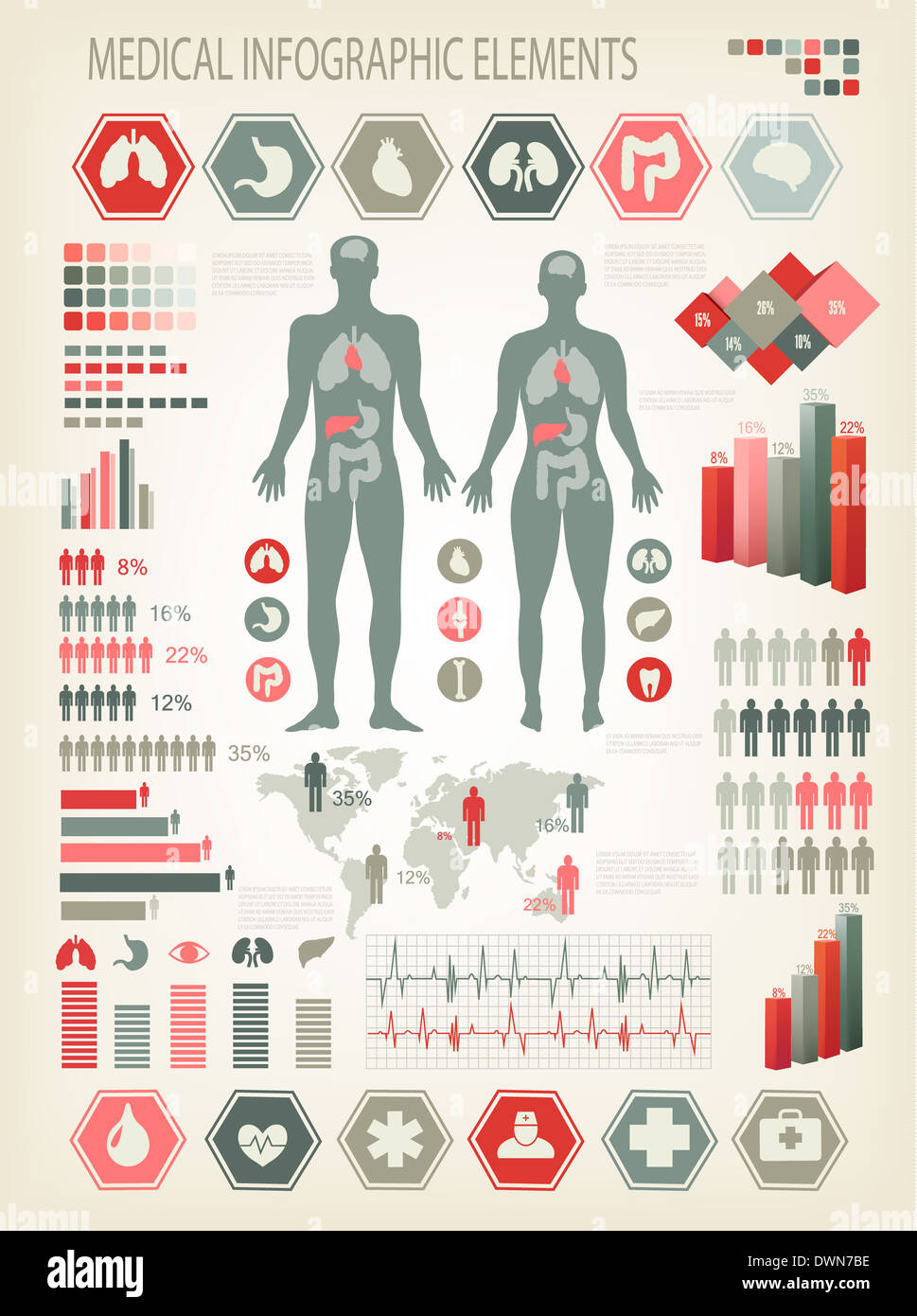 Pancreas Modern Medical Infographics Internal Organs In A Human Body