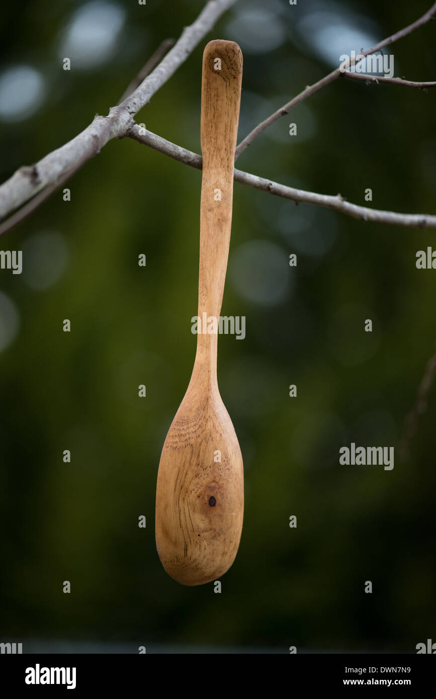 Wooden spoon, hand carved from a Pecan (Carya illinoinensis) limb ...