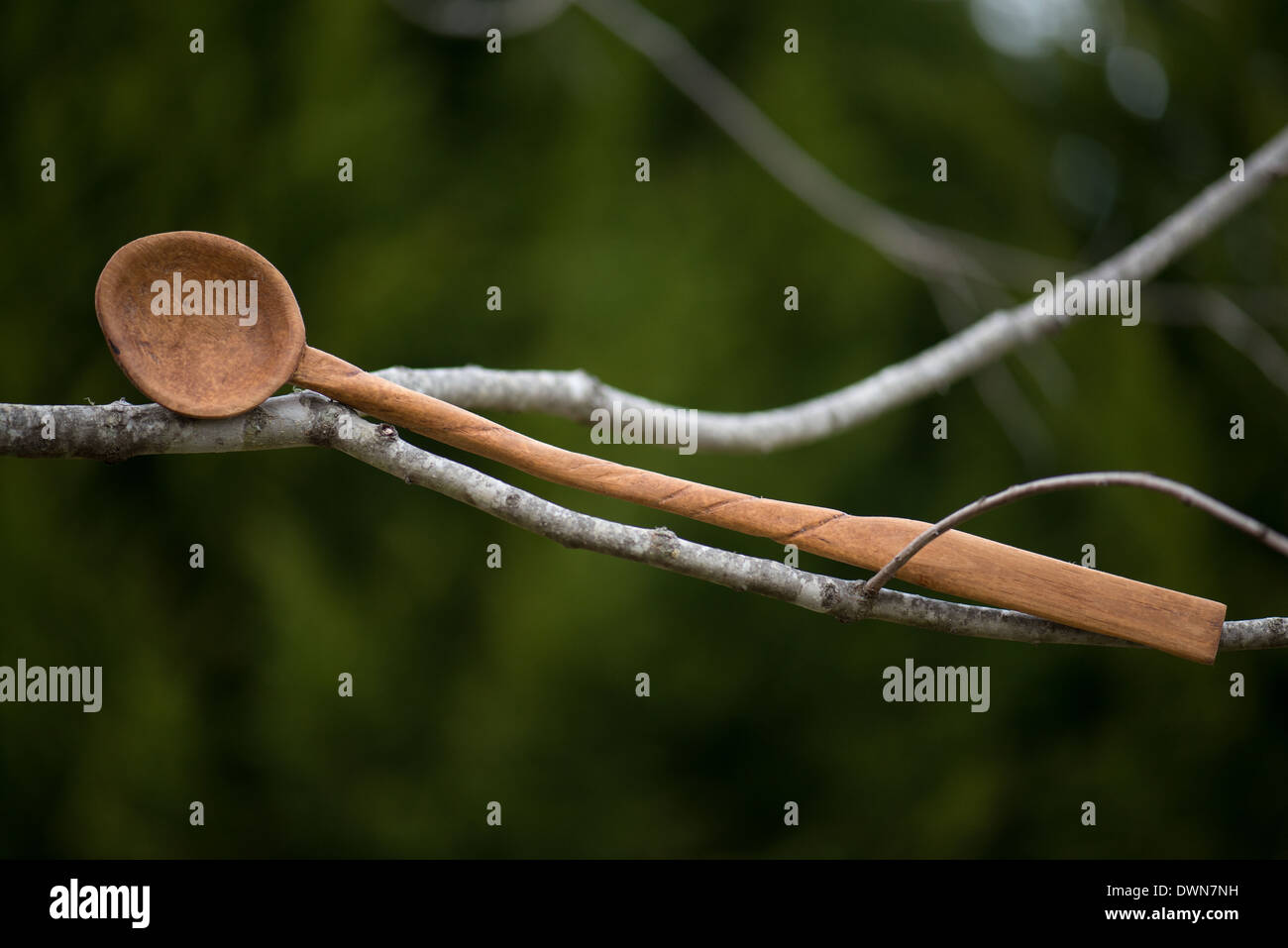 Wooden spoon, hand carved from a Pecan (Carya illinoinensis) limb ...