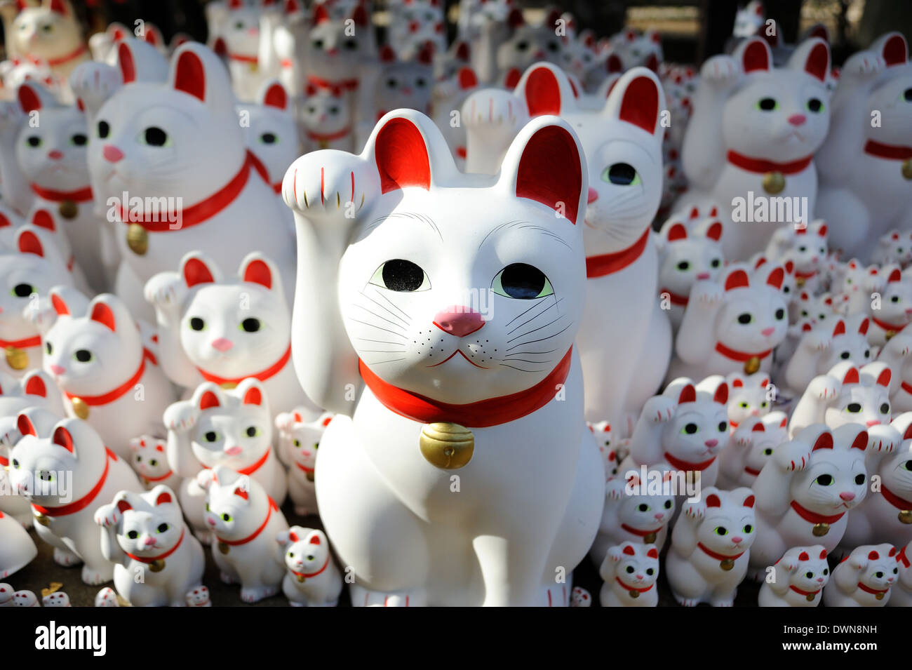 Maneki neko goutokuji shrine tokyo japan hi-res stock photography and images - Alamy