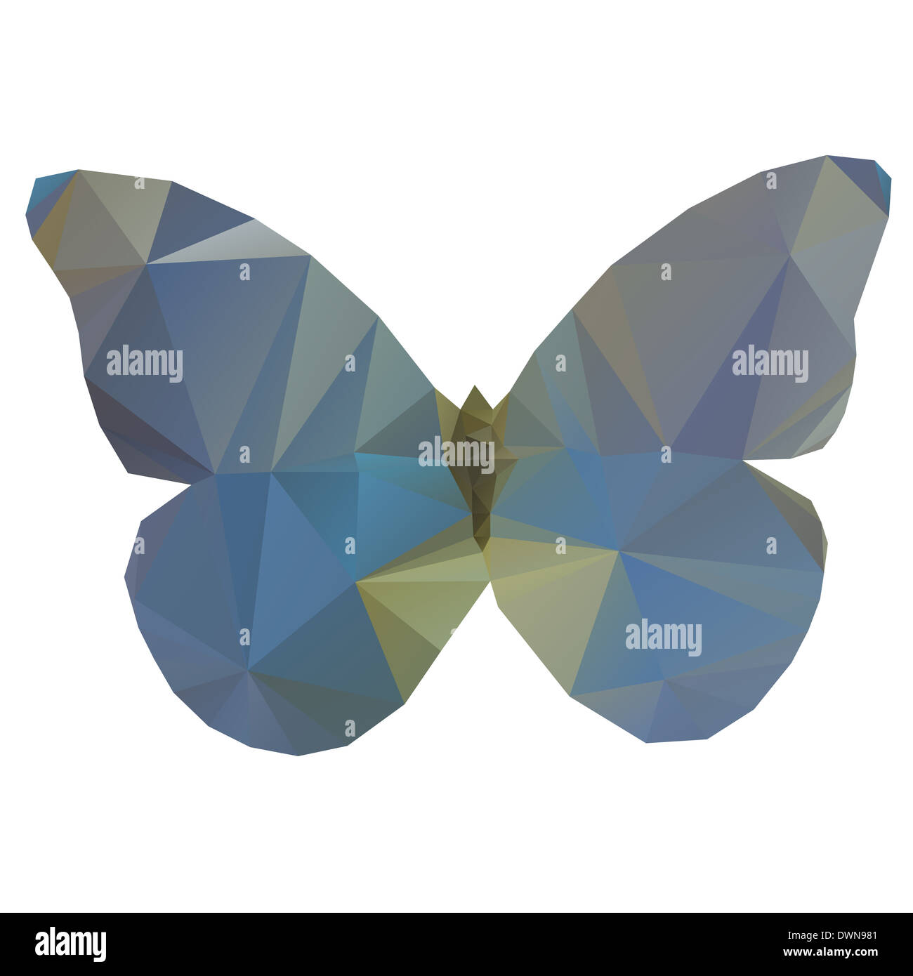 Blue green triangle butterfly hi-res stock photography and images - Alamy