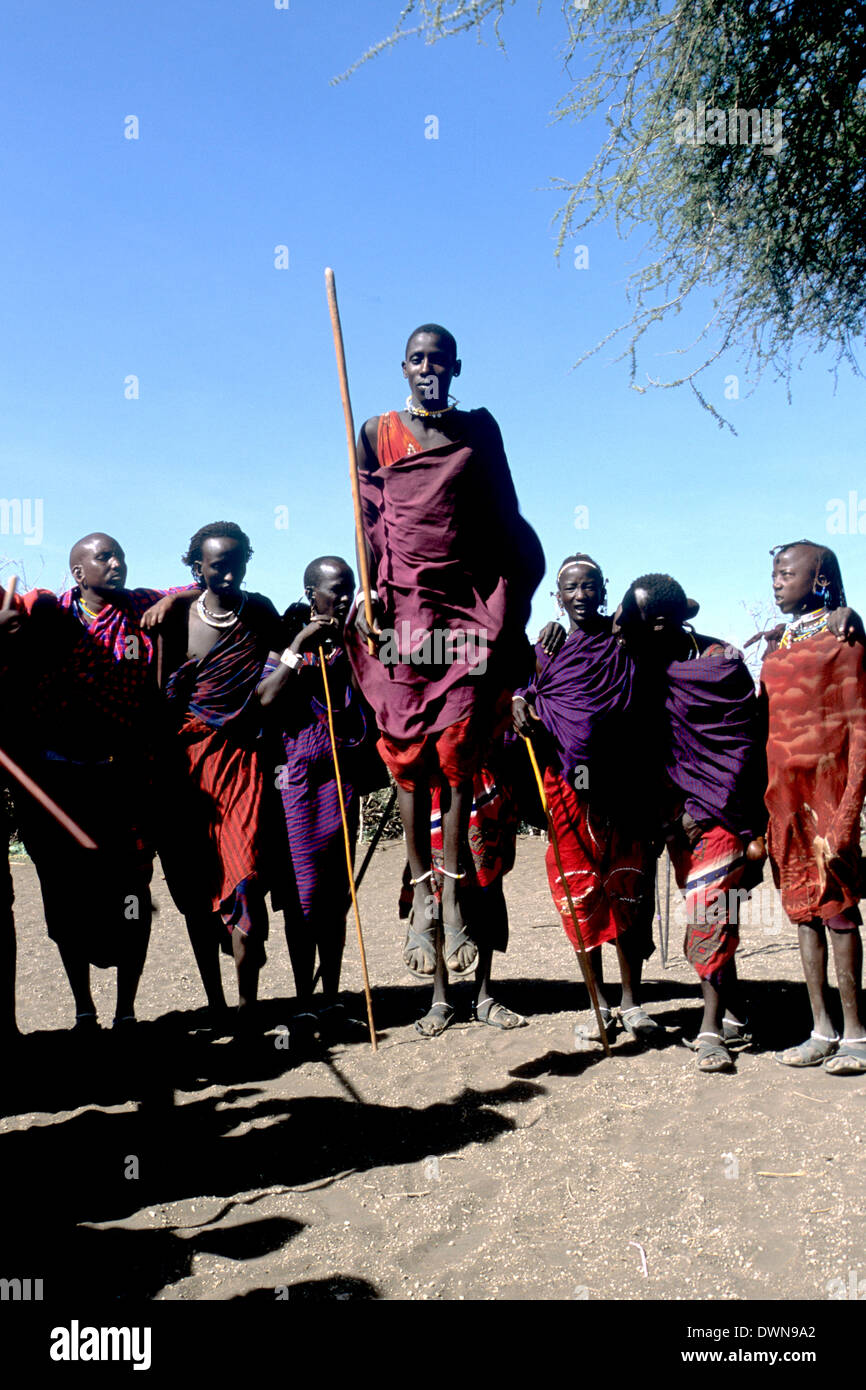 Masai man dancing/jumping Stock Photo - Alamy