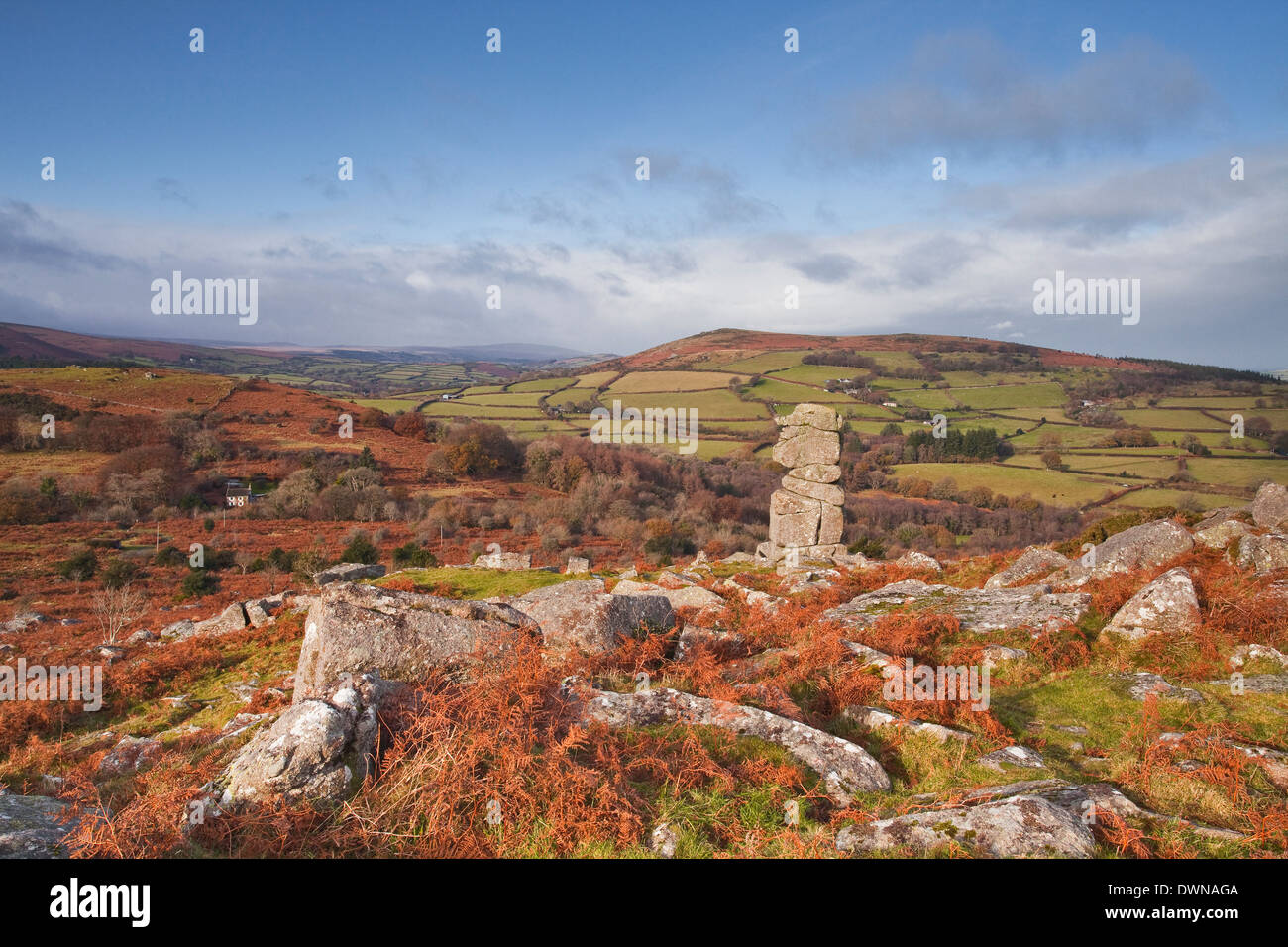 Bowerman's Nose on Hayne Down in Dartmoor National Park, Devon, England ...
