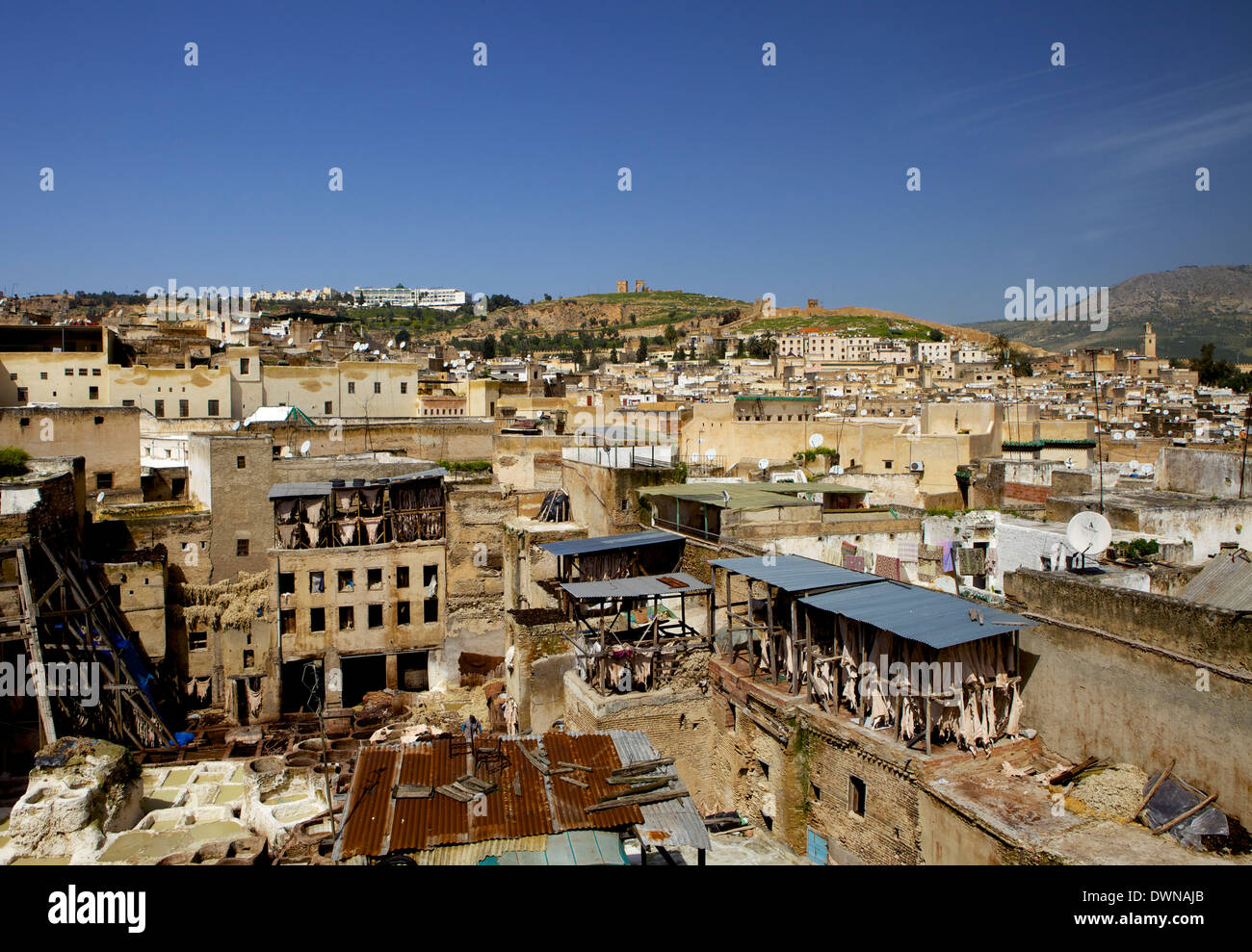 Color of fes hi-res stock photography and images - Alamy