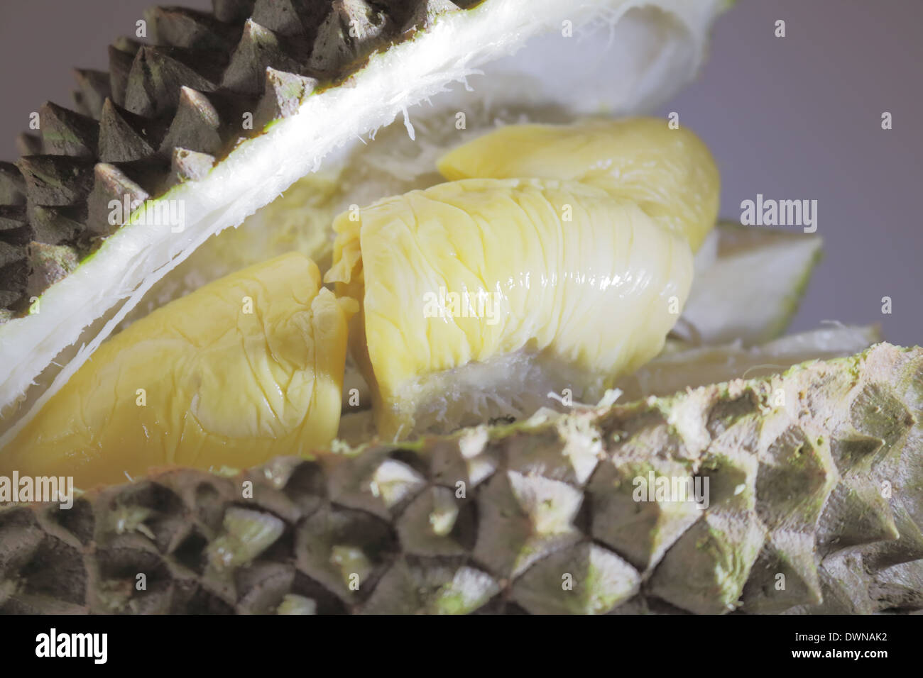 Durian texture hi-res stock photography and images - Alamy