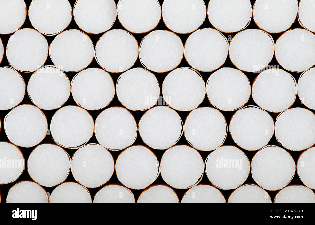 Cigarette Filter Texture
