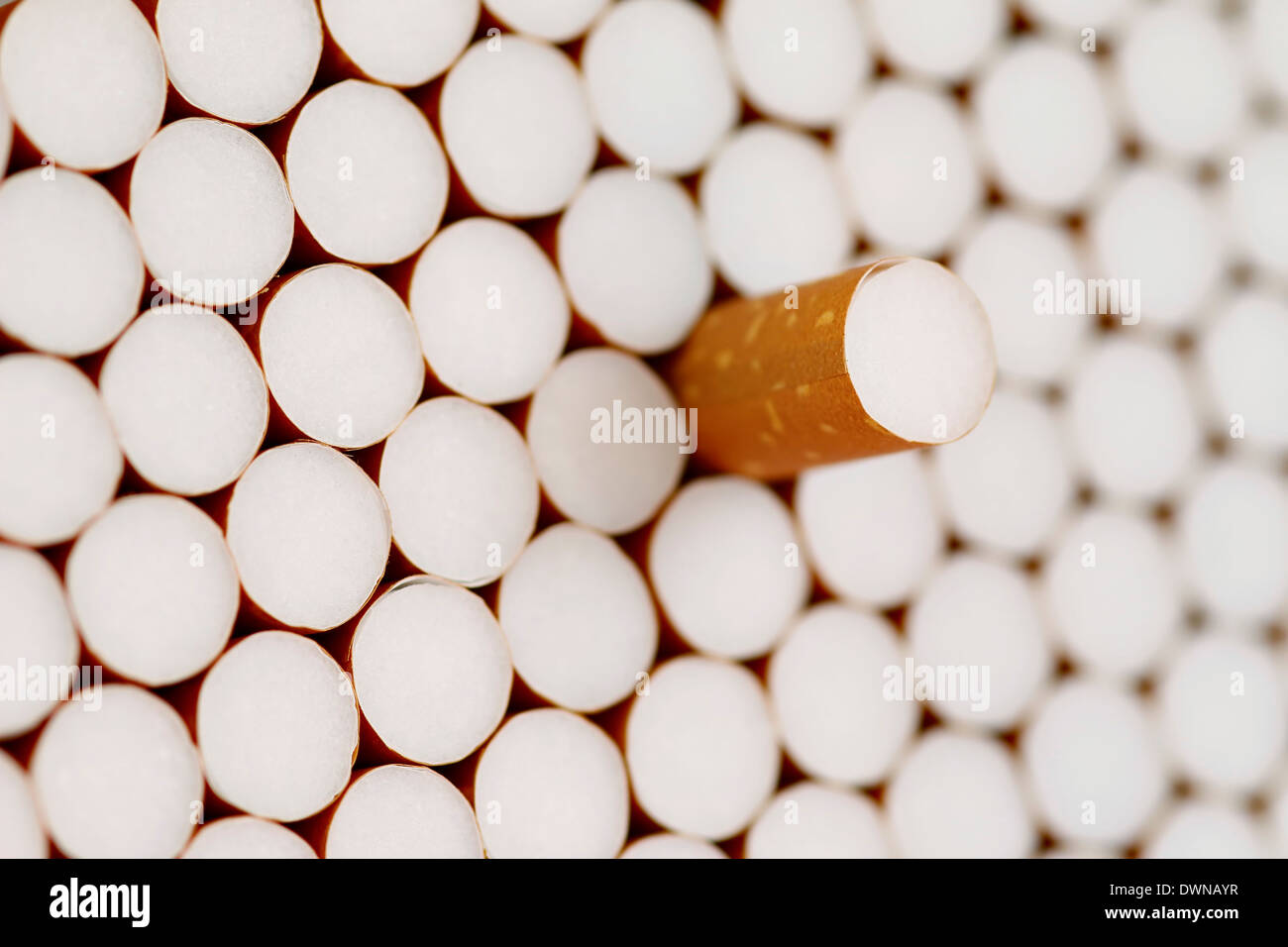Cigarette filter hi-res stock photography and images - Alamy