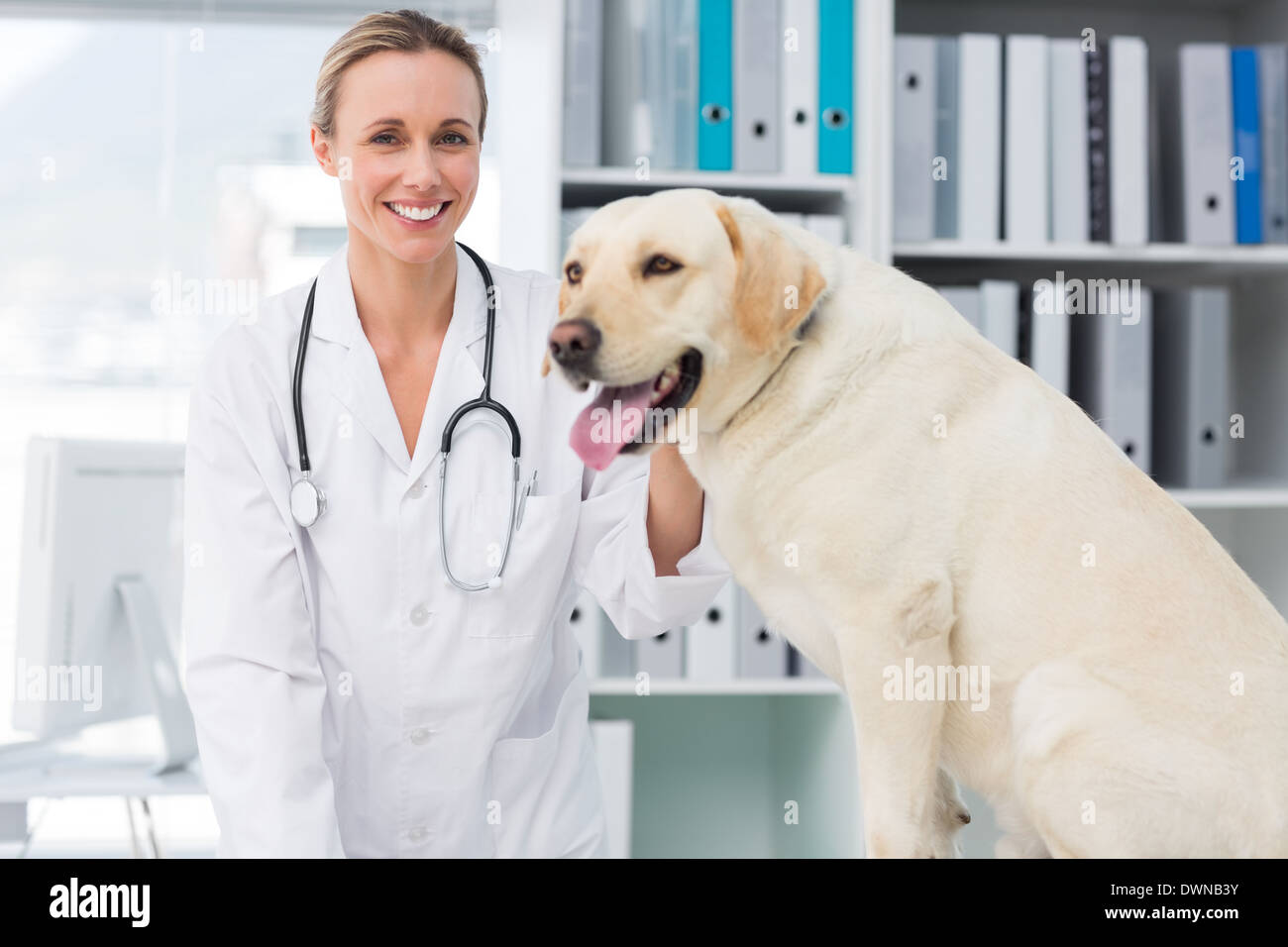 Vet with dog hi-res stock photography and images - Alamy