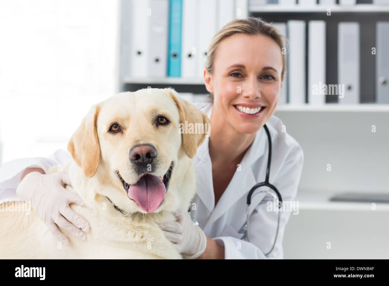 Attractive female doctor veterinarian hi-res stock photography and ...