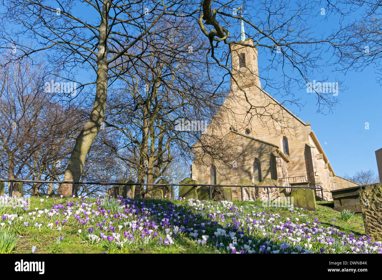 Crocuses in bloom below Holy Trinity church Washington Village north ...
