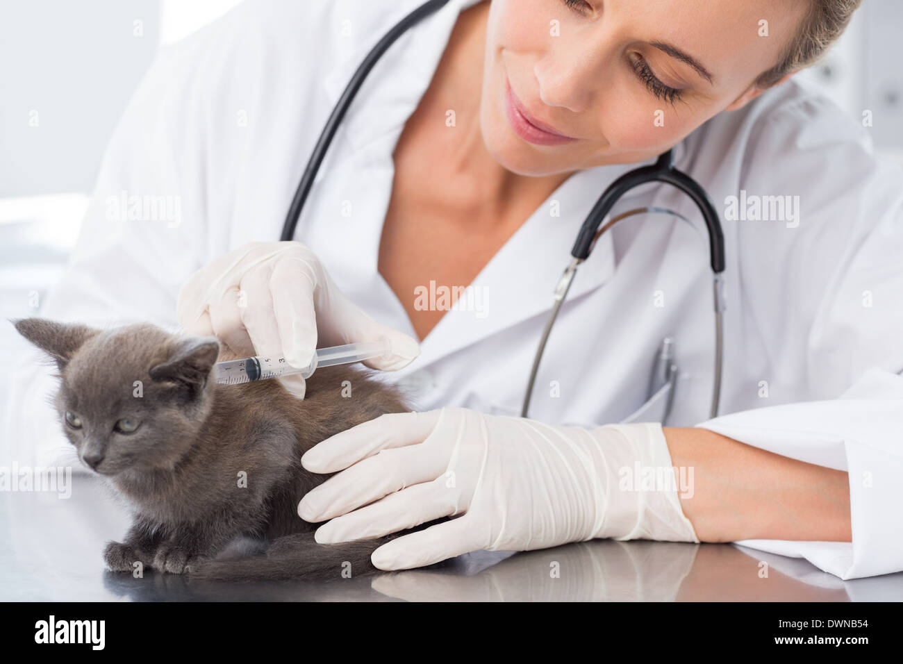 Injecting animals hi-res stock photography and images - Alamy