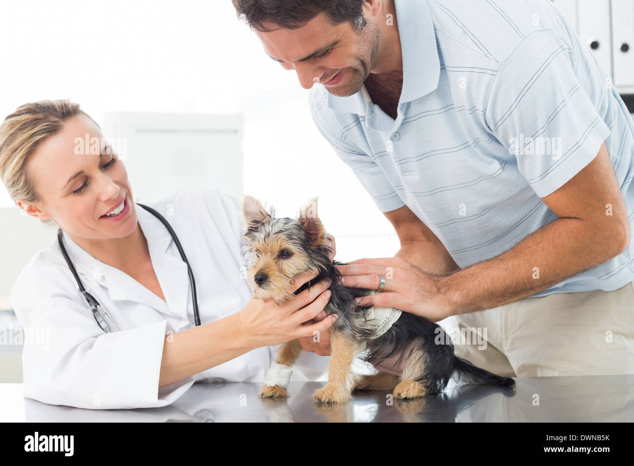 Veterinary office man hi-res stock photography and images - Alamy