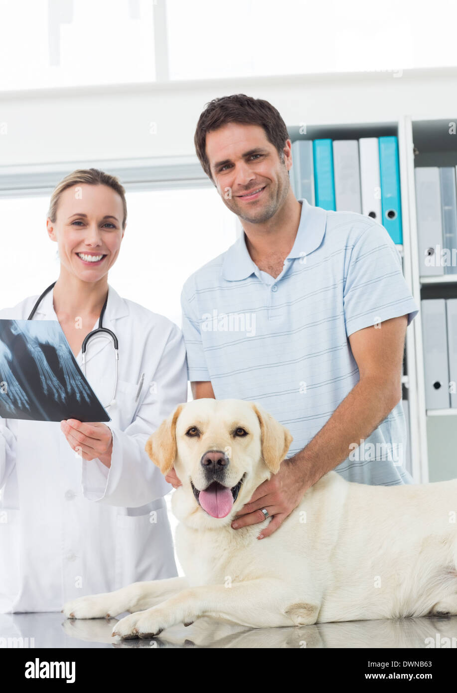 Vet with dog hi-res stock photography and images - Alamy