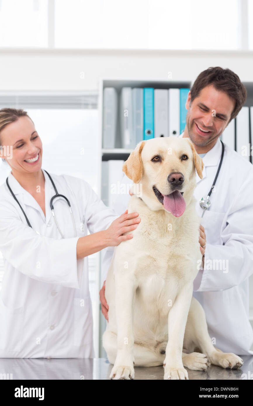 Checking dog hi-res stock photography and images - Alamy