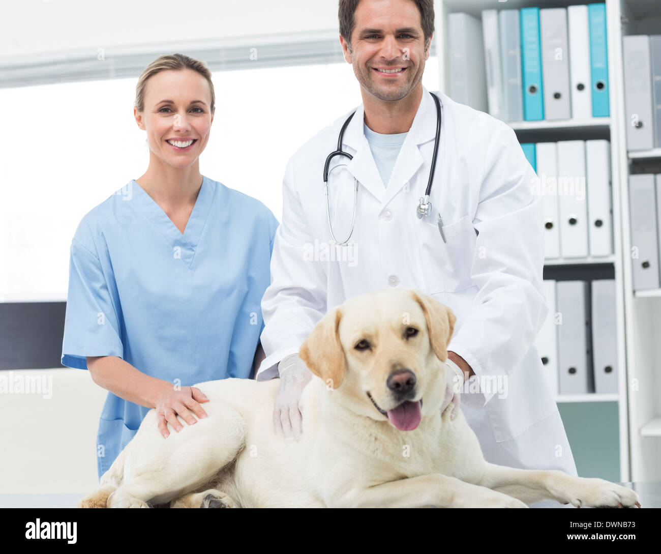 Dog at the veterinarians hi-res stock photography and images - Alamy