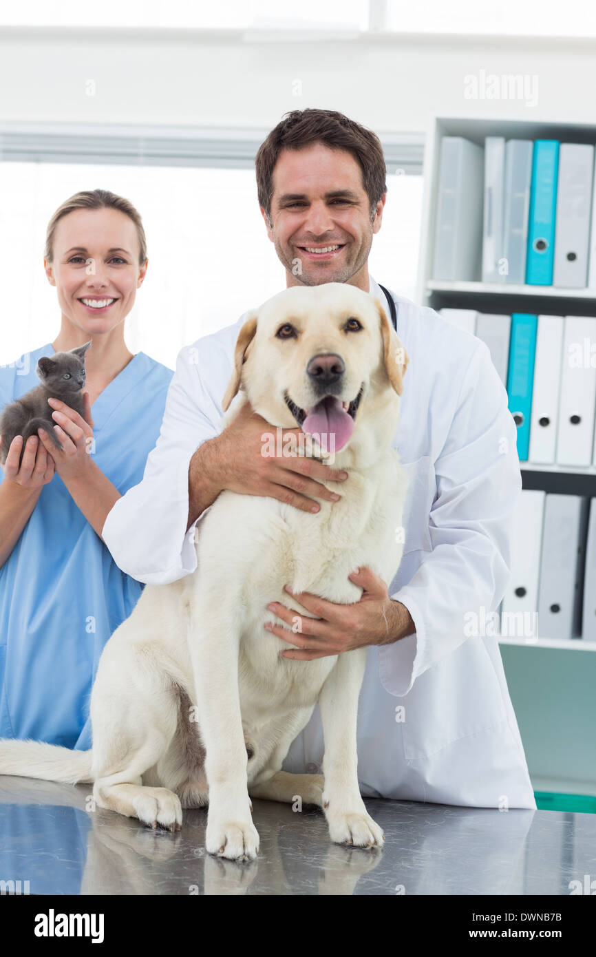 Veterinarians with dog and kitten Stock Photo - Alamy