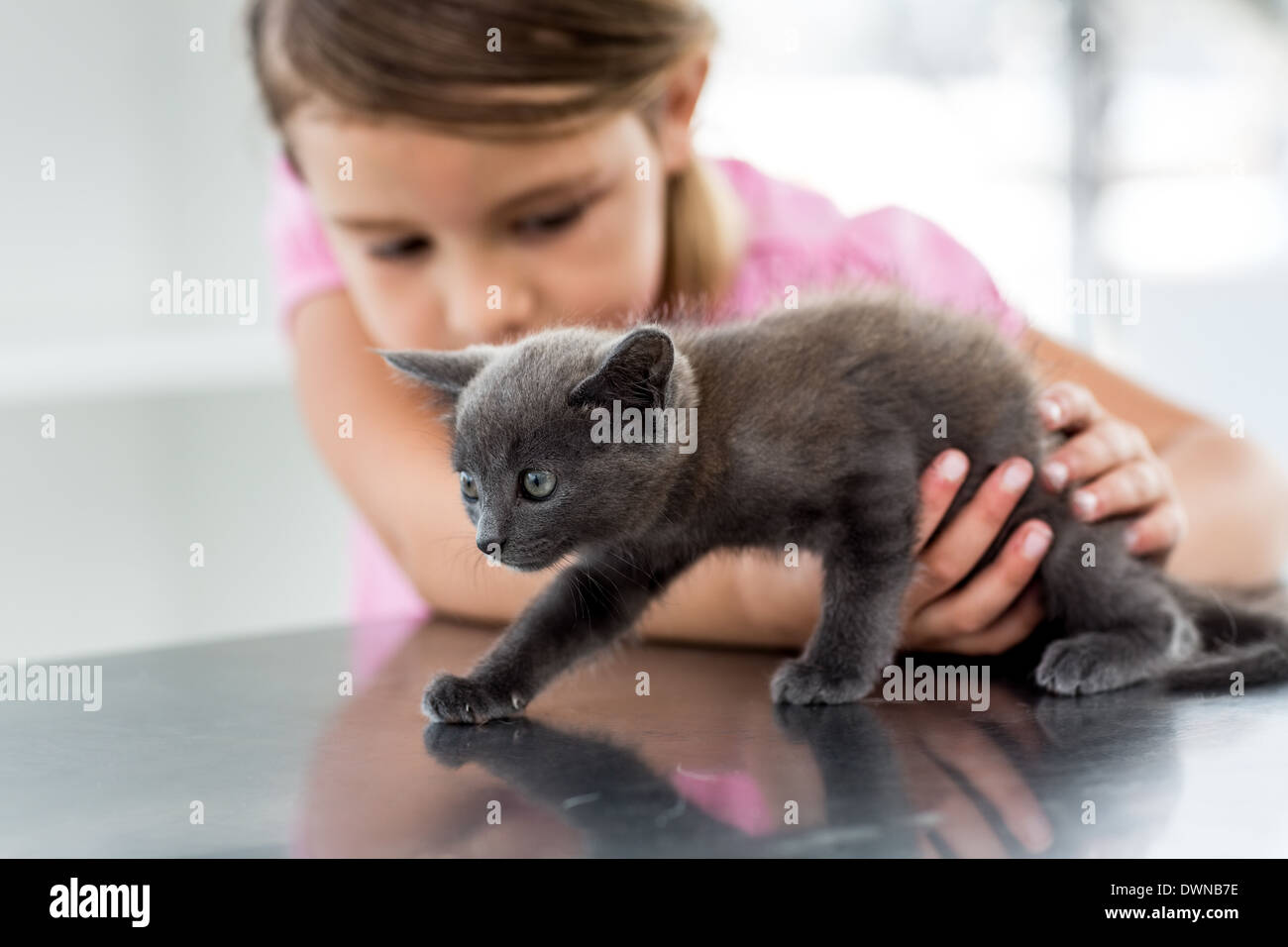 Girl playing with kitten Stock Photo - Alamy
