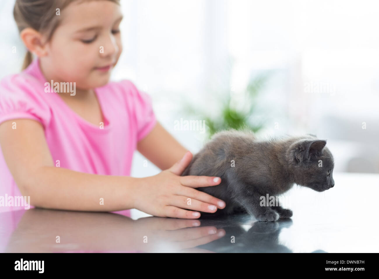 Girl kitten playing hi-res stock photography and images - Alamy